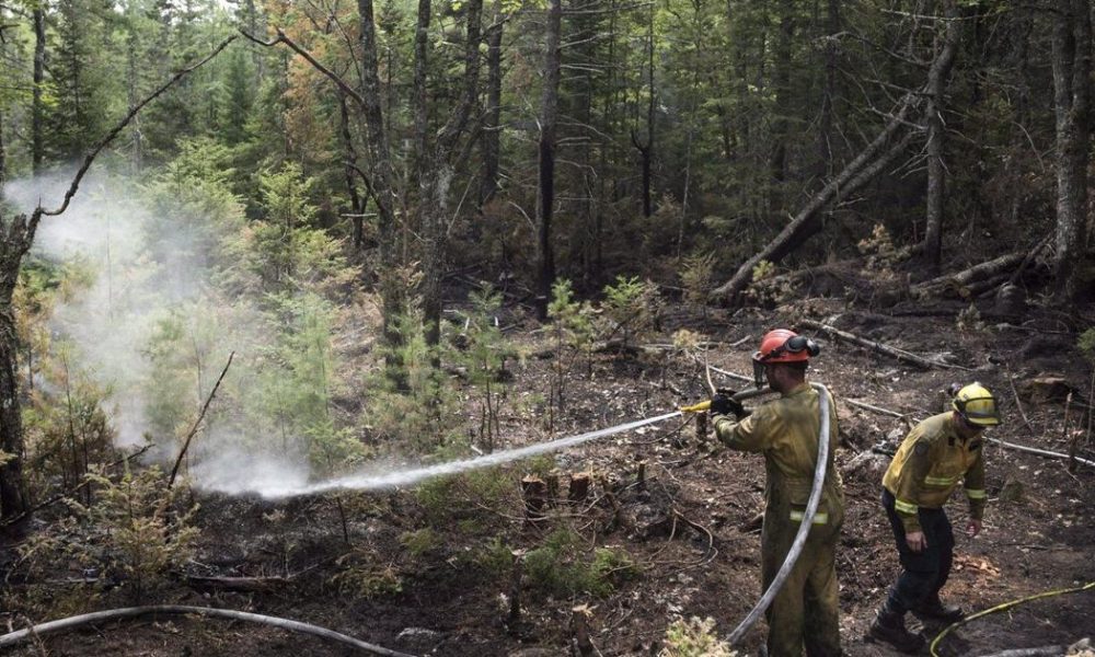 Some residents allowed to return after forest fire in Halifax area ...