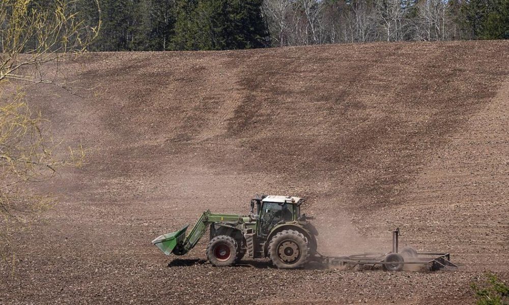 Drought on the East Coast fuels wildfires, but also dries up farm crops ...
